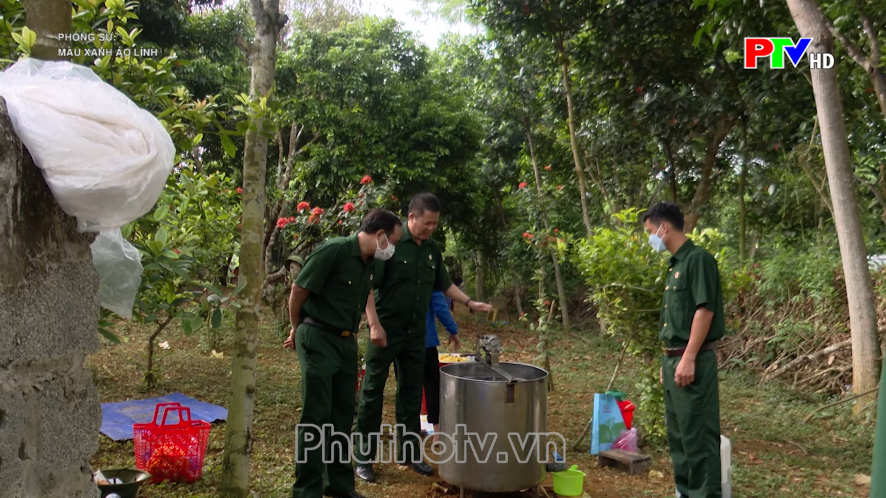 Màu xanh áo lính | Đài Phát thanh và Truyền hình Phú Thọ