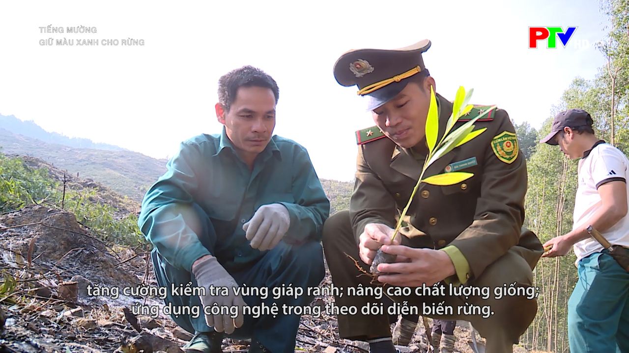 Tiếng Mường - Giữ màu xanh cho rừng | Đài Phát thanh và Truyền hình Phú Thọ