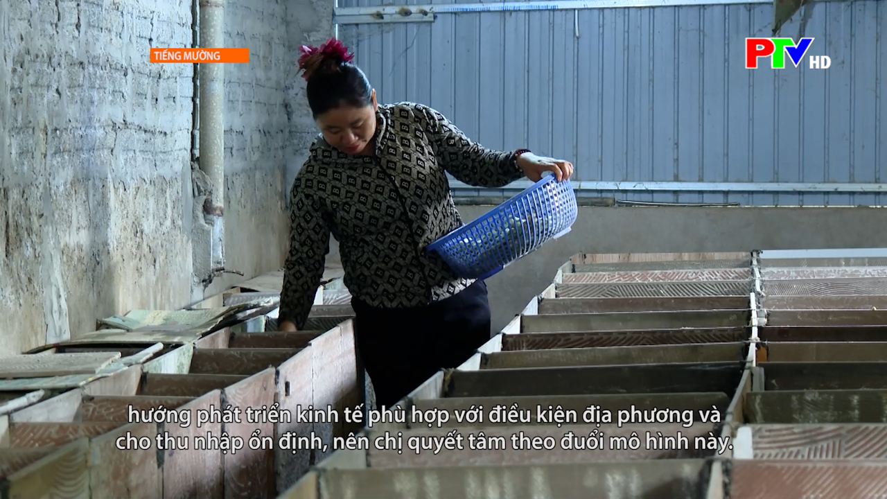Tiếng Mường - Hỗ trợ nông dân phát triển kinh tế | Đài Phát thanh và ...