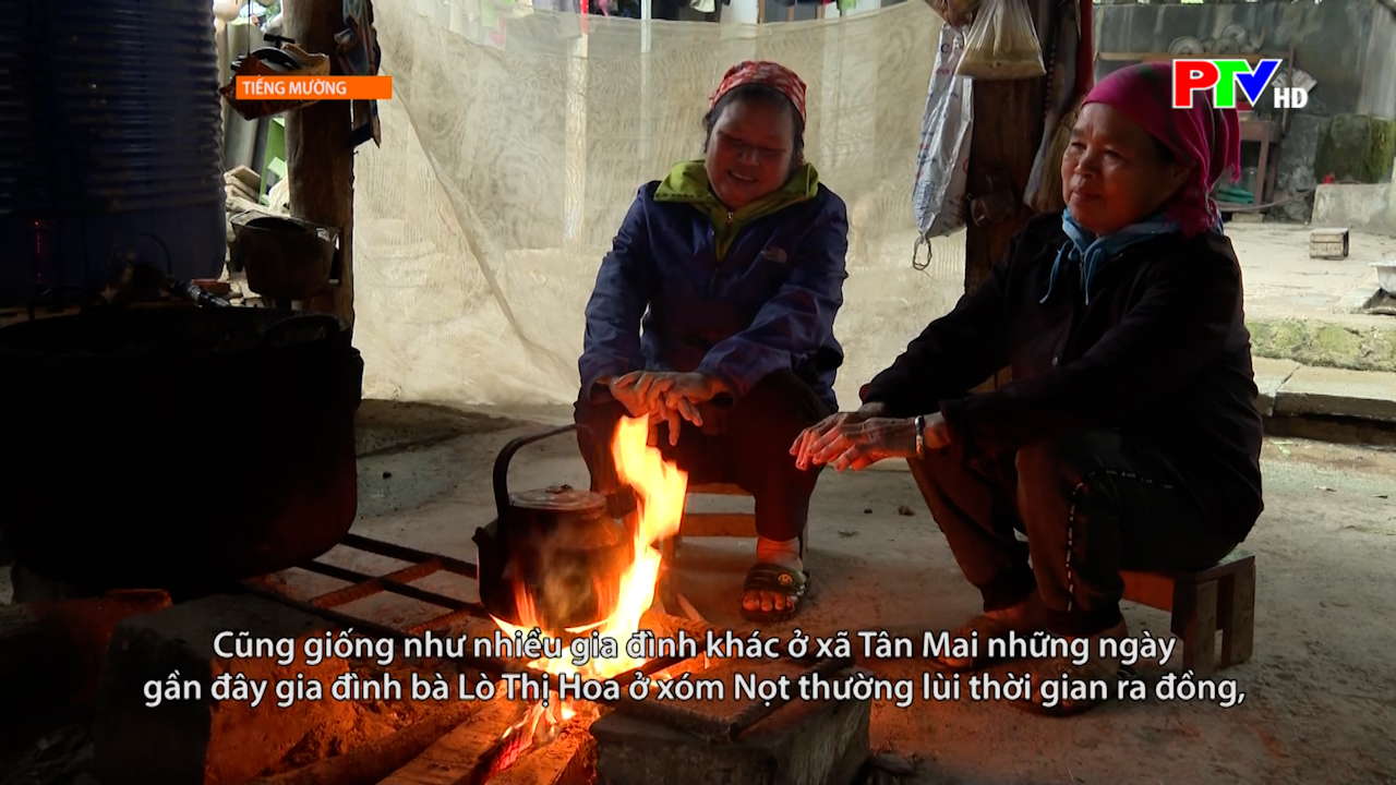 Tiếng Mường - Tăng cường phòng chống rét cho người và vật nuôi ở vùng ...