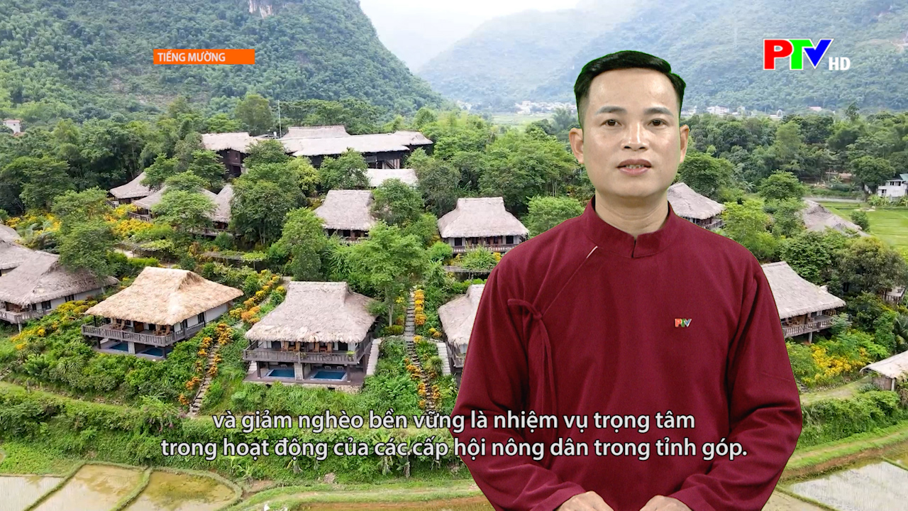 Tiếng Mường - Lan tỏa phong trào sản xuất kinh doanh giỏi | Đài Phát ...