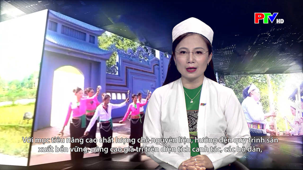 Tiếng Mường - Sản xuất chè theo tiêu chuẩn Vietgap | Đài Phát thanh và ...