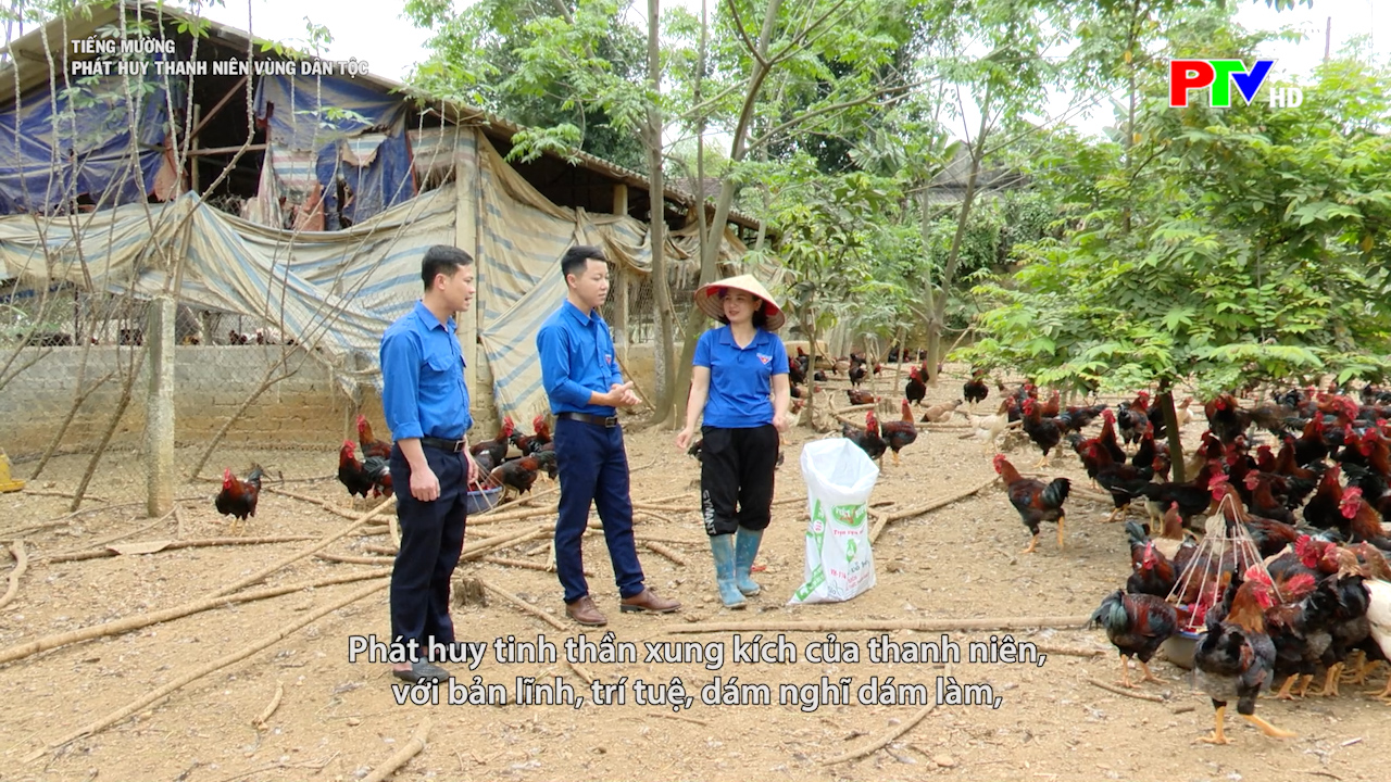 Tiếng Mường – Phát huy thanh niên vùng dân tộc | Đài Phát thanh và ...